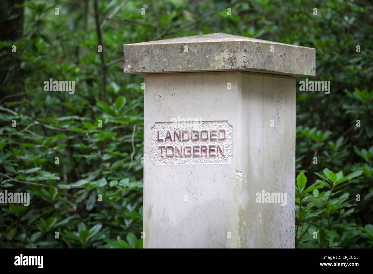 Gate of landgoed Tongeren forest on the veluwe as part of Gelderland in ...