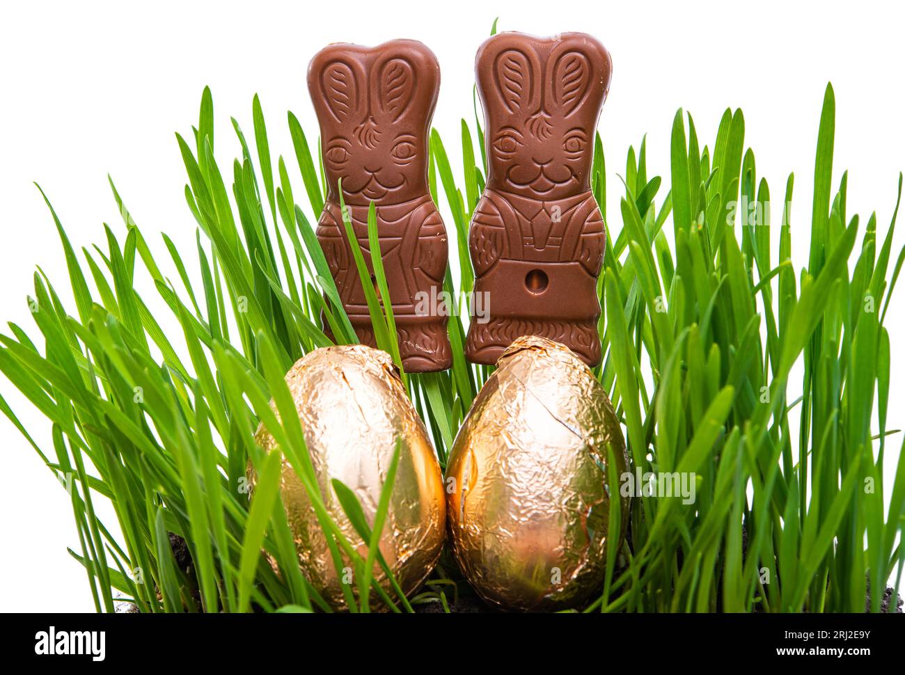 easter decoration with green grass isolated on white background Stock ...