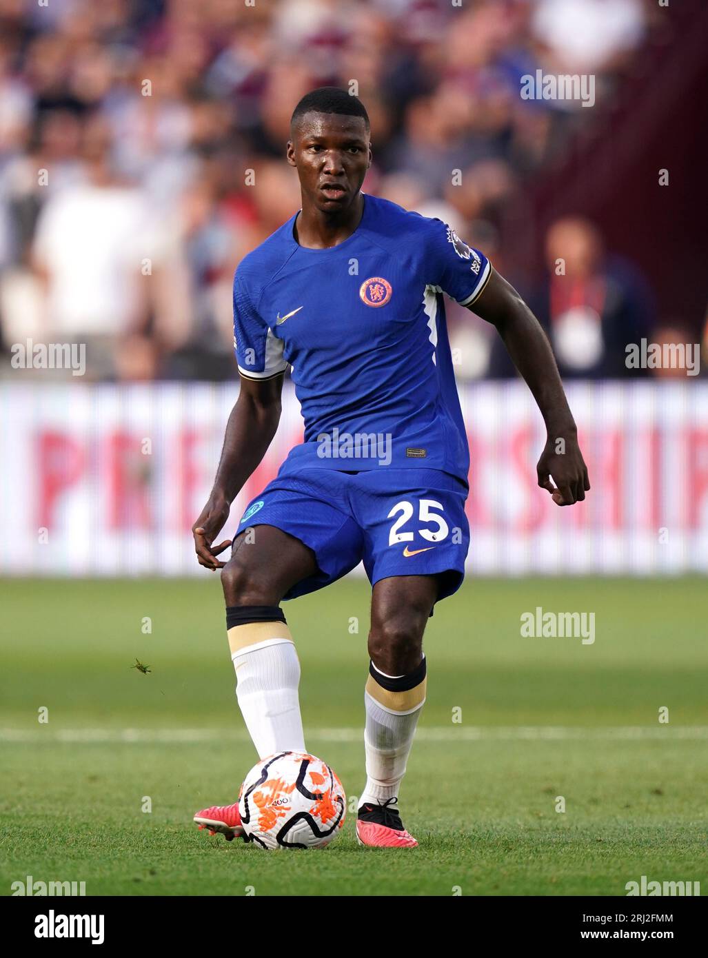 Moises caicedo august 2023 chelsea hi-res stock photography and images ...