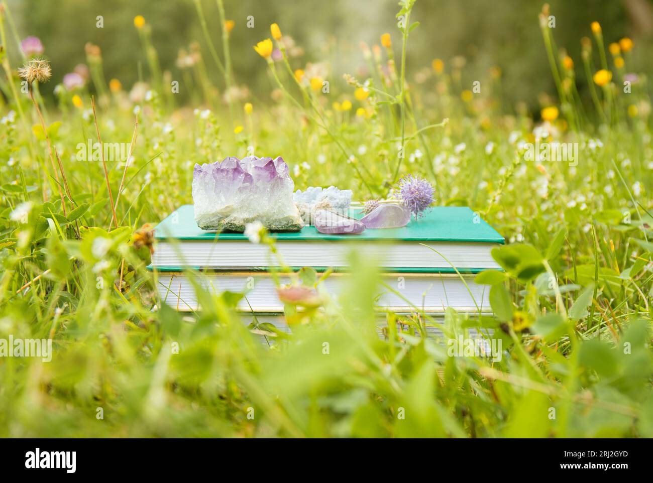 Stack of self help books hi-res stock photography and images - Alamy