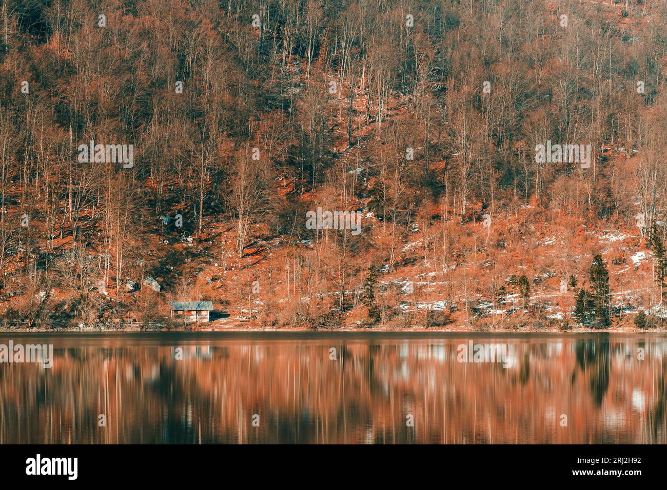 Wooden cottage at lake Bohinj shore in slovenian national park Triglav ...