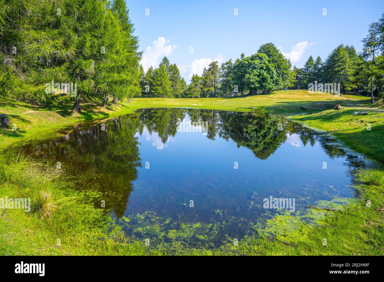 Mountain pond Roccoli Lorla in lush green forest landscape of Bergamo ...