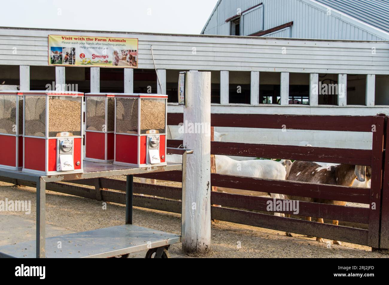 Cattle feed station with quarter turner Stock Photo - Alamy