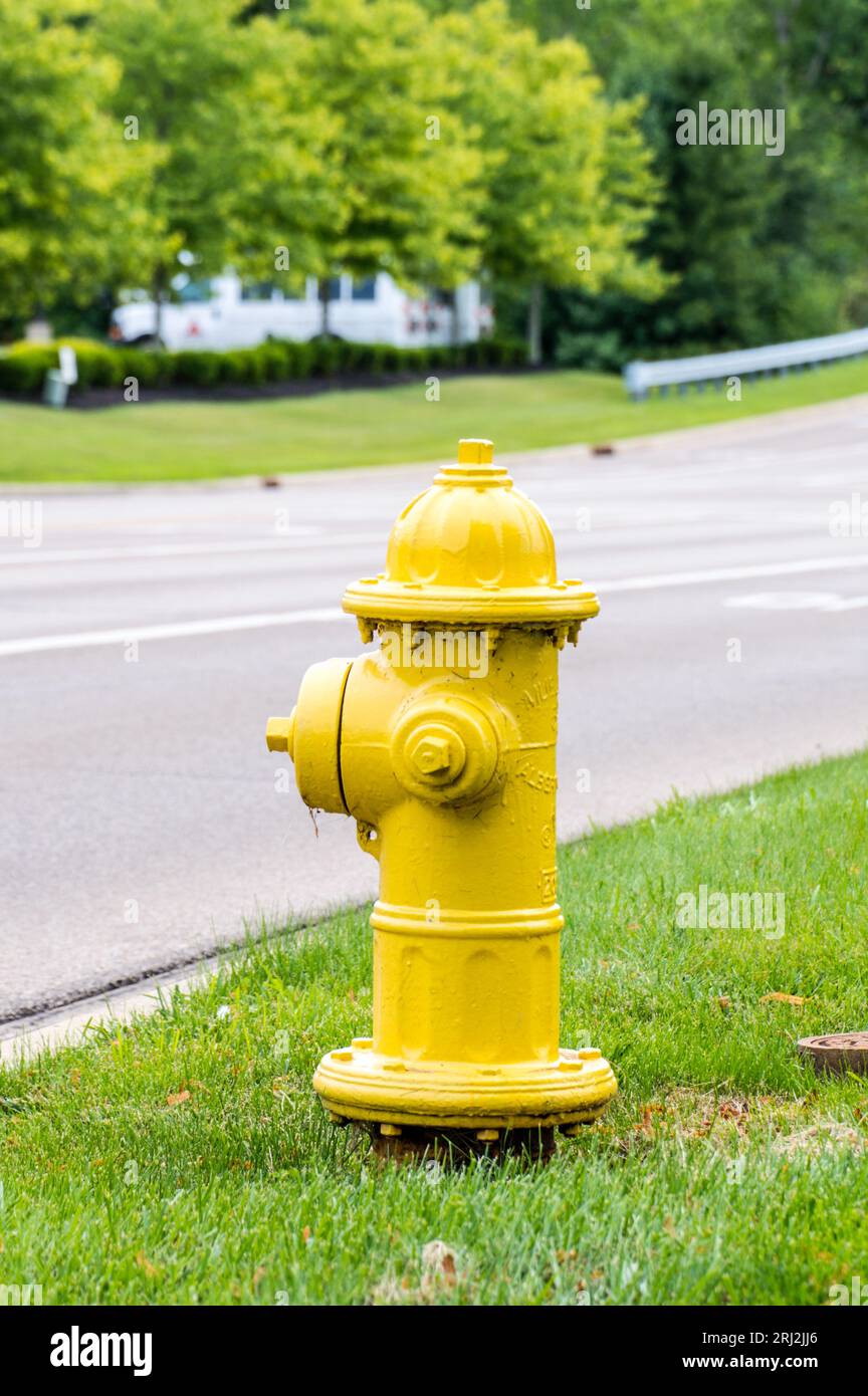 Yellow Fire Hydrant on road side in Dayton, Ohio, USA Stock Photo - Alamy