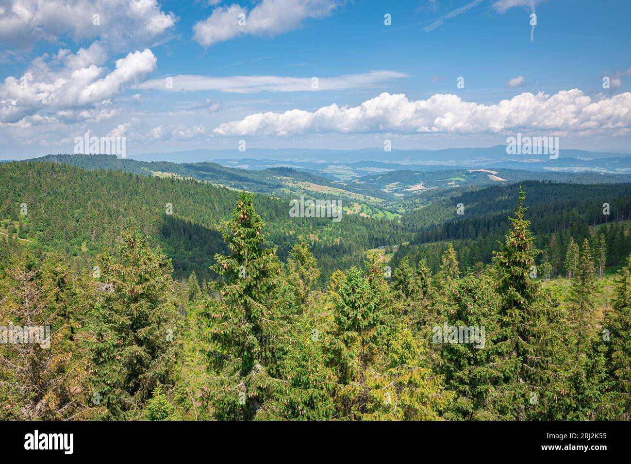 Pieniny national park landscape hi-res stock photography and images - Alamy