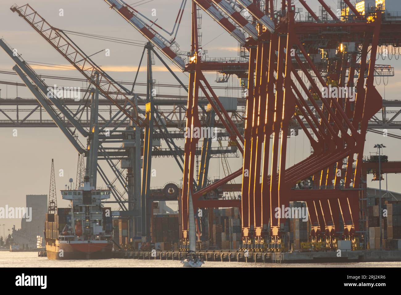 A cargo ship stands in a seaport with huge loading cranes. Mid shot ...