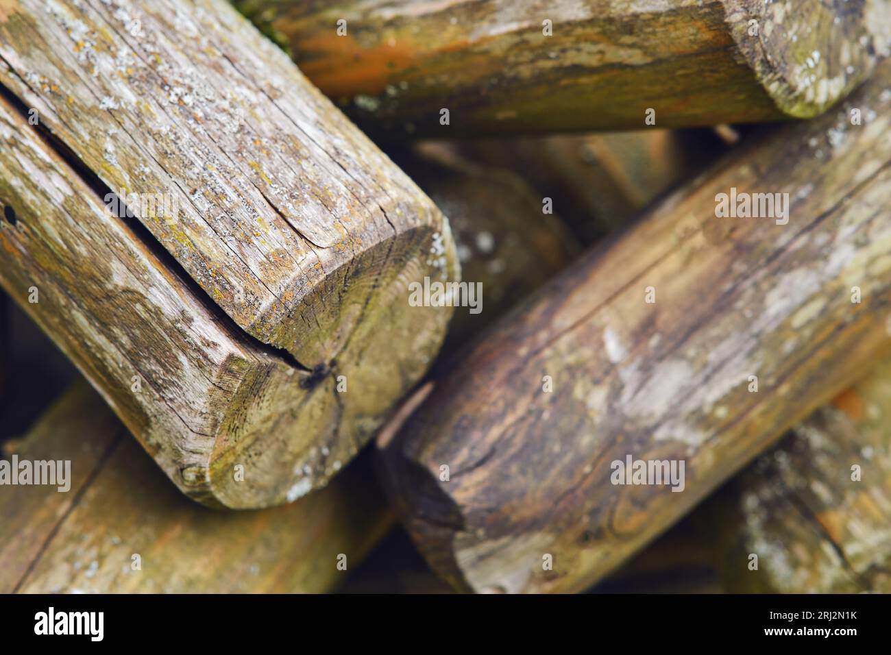 A group of round logs, with their rough bark, form a visually ...