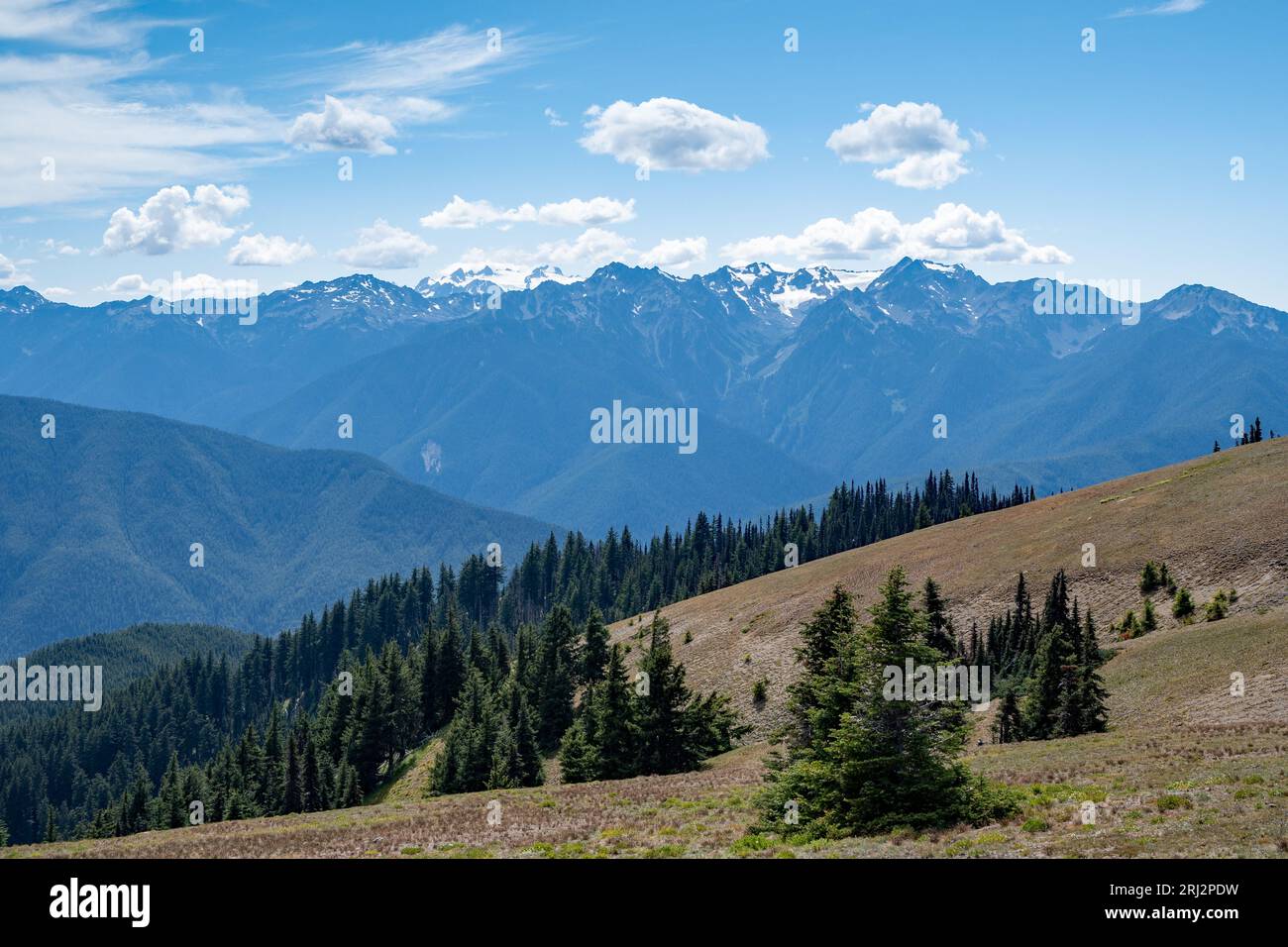 View of Mount Olympus and Olympic Mountains from Hurricane Ridge in ...