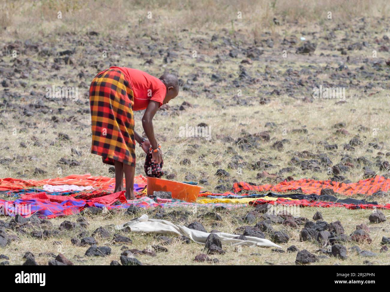 Masai girl washing clothes in savanna and drying on the ground, central ...