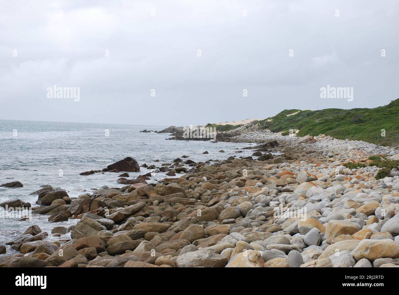 Shark point at hi-res stock photography and images - Alamy