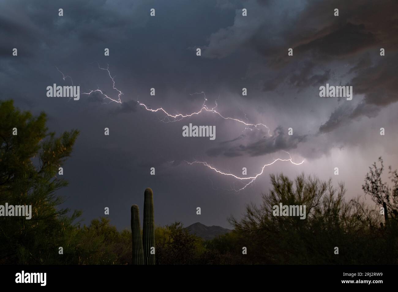 Monsoon storm with lightning in the sonoran desert at sunset Stock ...