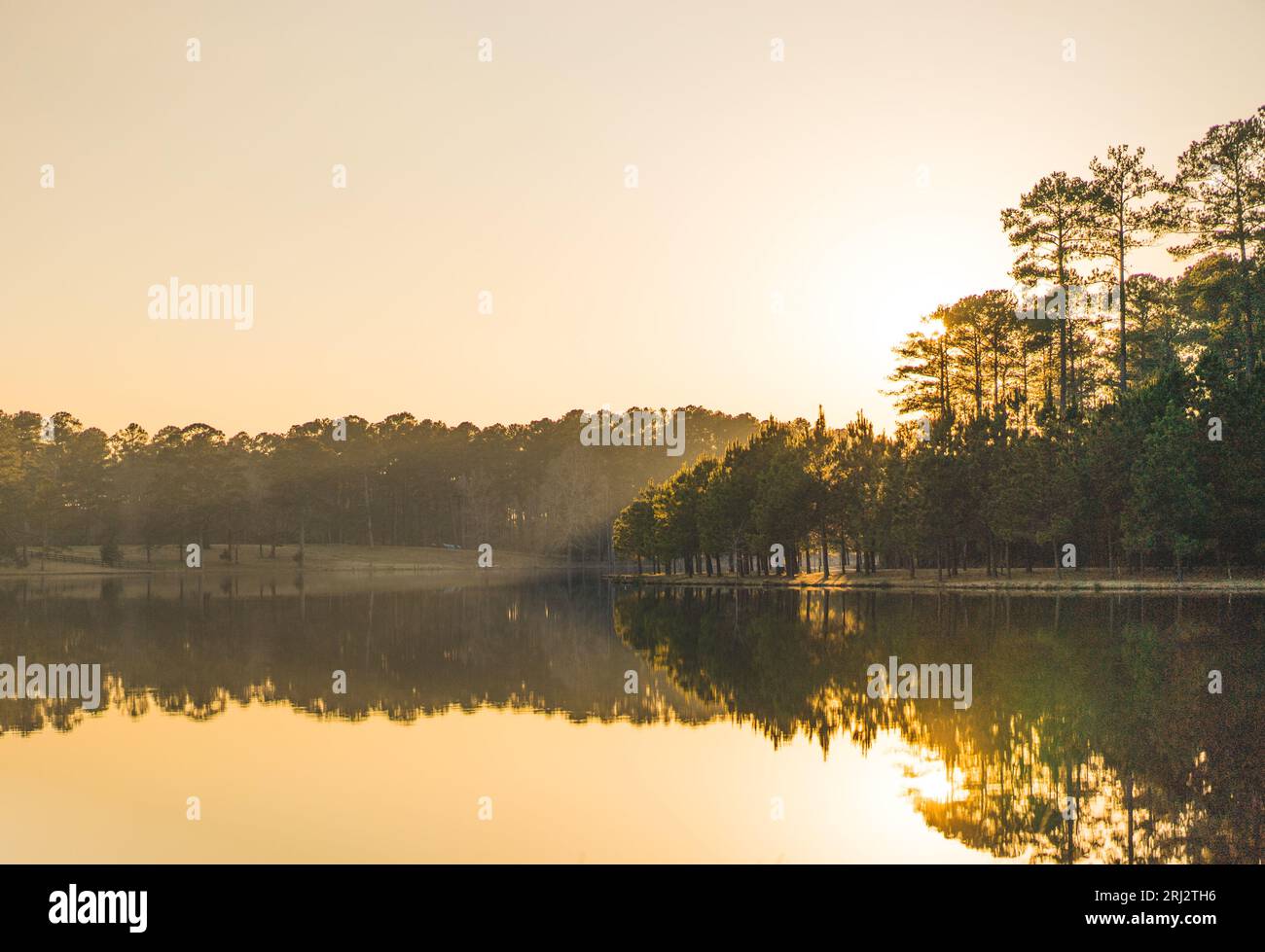 Sunset Behind Pine Trees Over Lake in Mississippi with Reflection in ...
