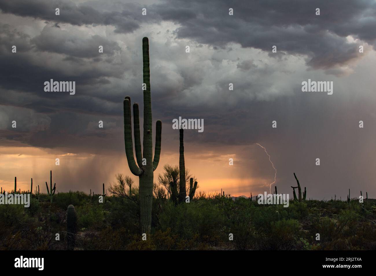 Arizona monsoon storm hi-res stock photography and images - Alamy