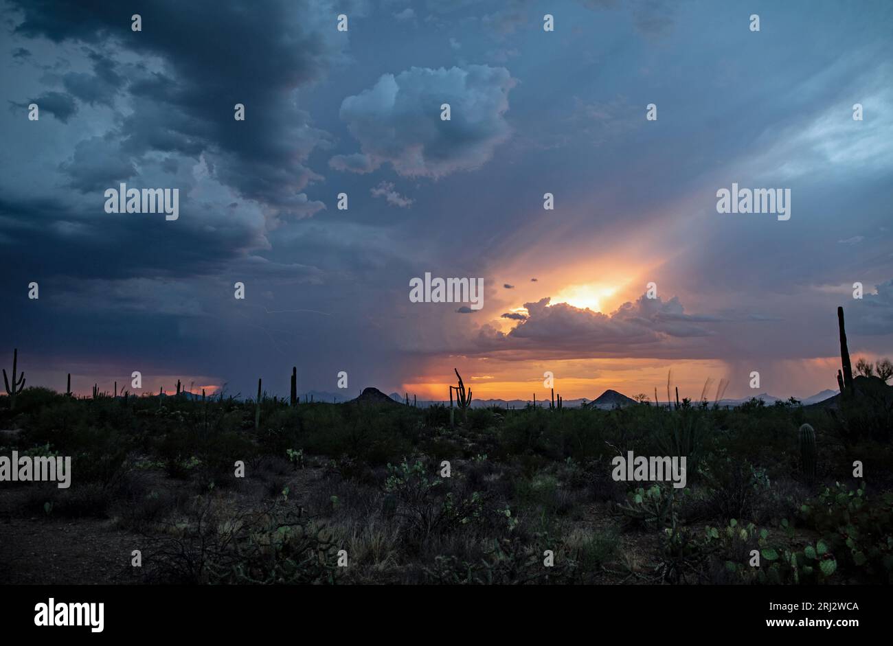 A monsoon storm at sunset in the sonoran desert Stock Photo - Alamy