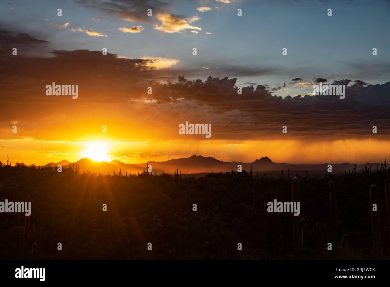 Dust desert wind hi-res stock photography and images - Alamy