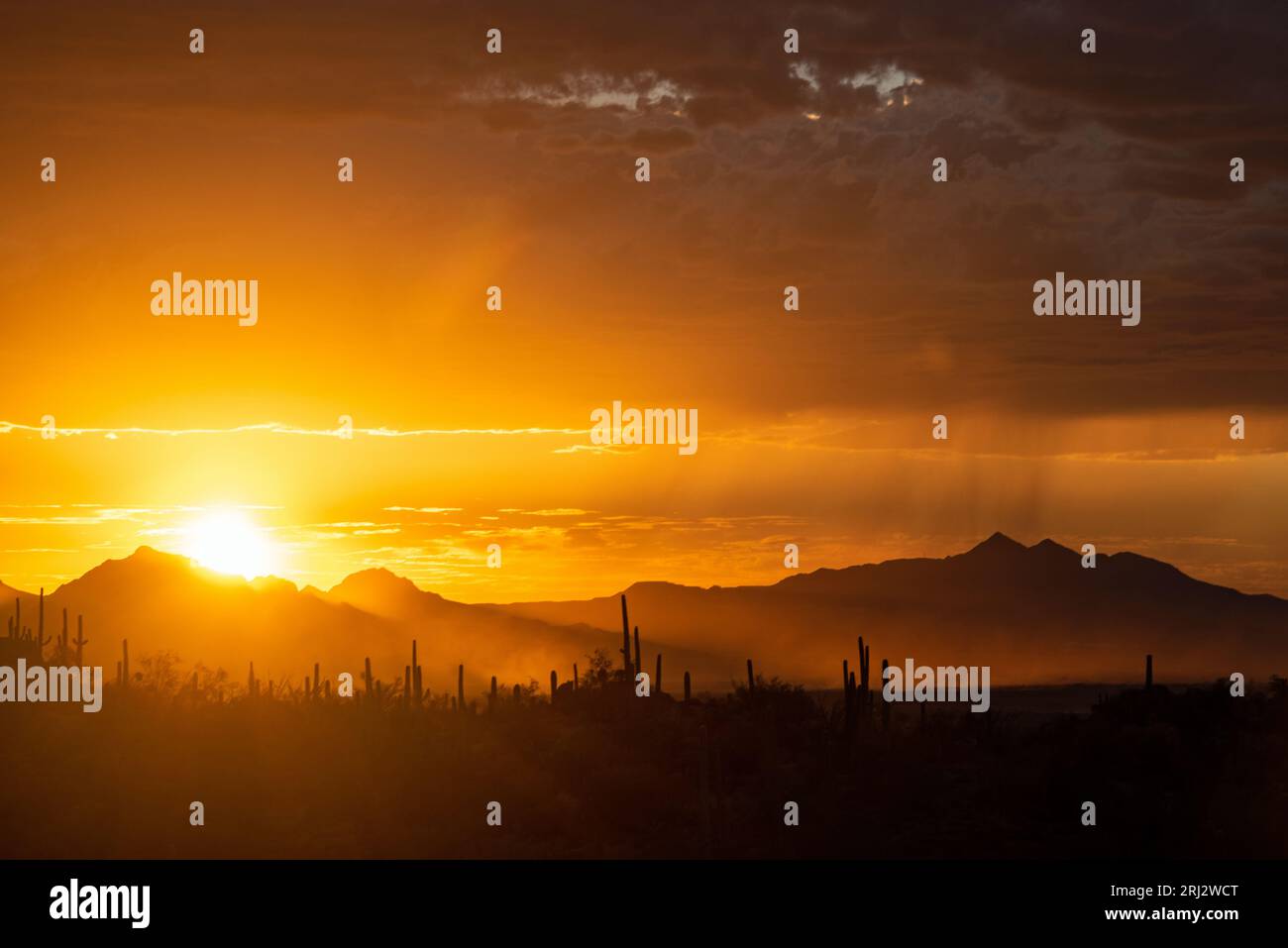 The setting sun in the sonoran desert Stock Photo - Alamy