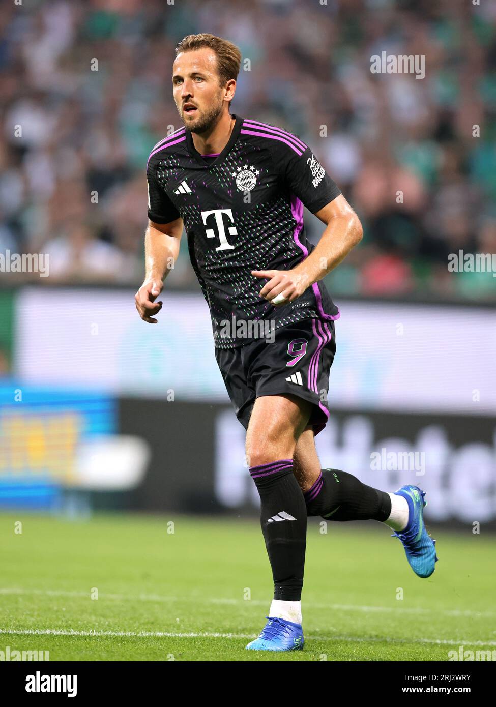 Harry kane fc bayern muenchen hi-res stock photography and images - Alamy