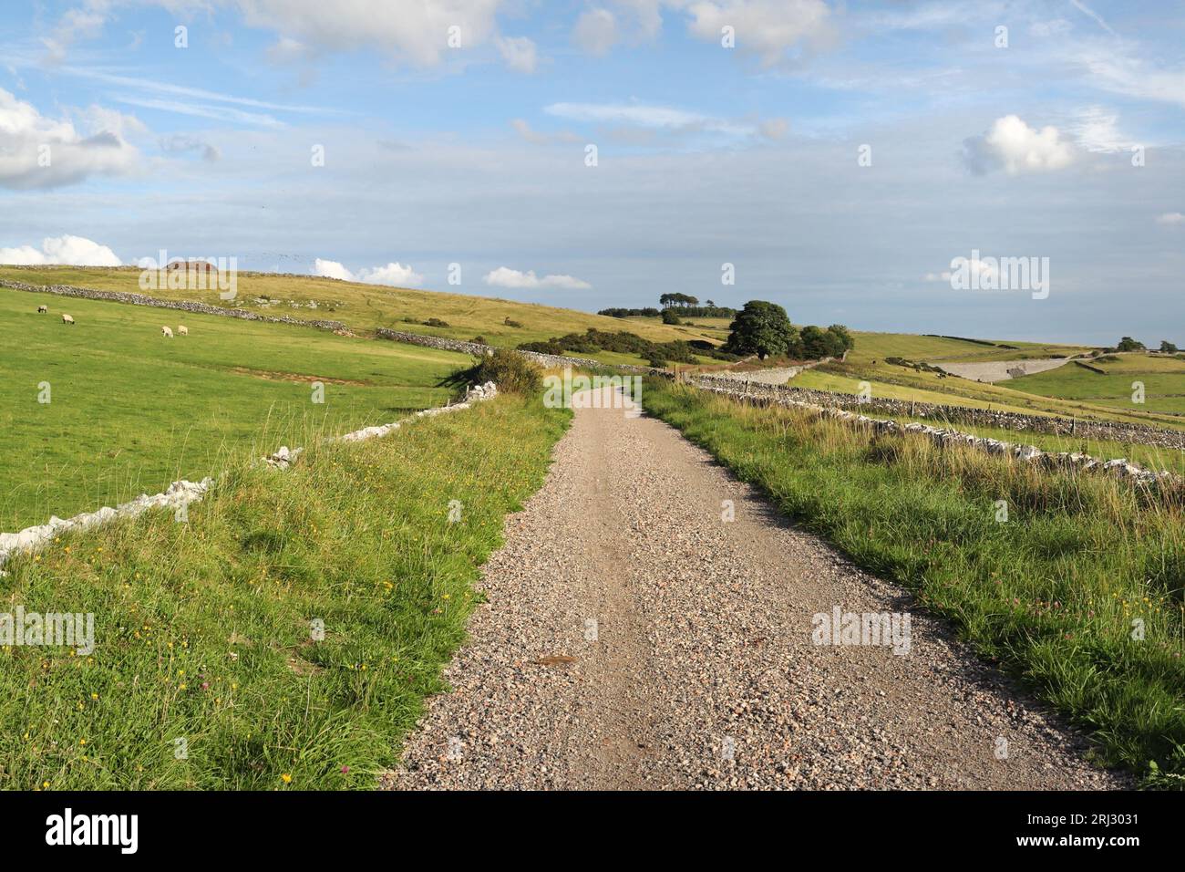High Peak Trail in Derbyshire England, disused railway line Peak ...