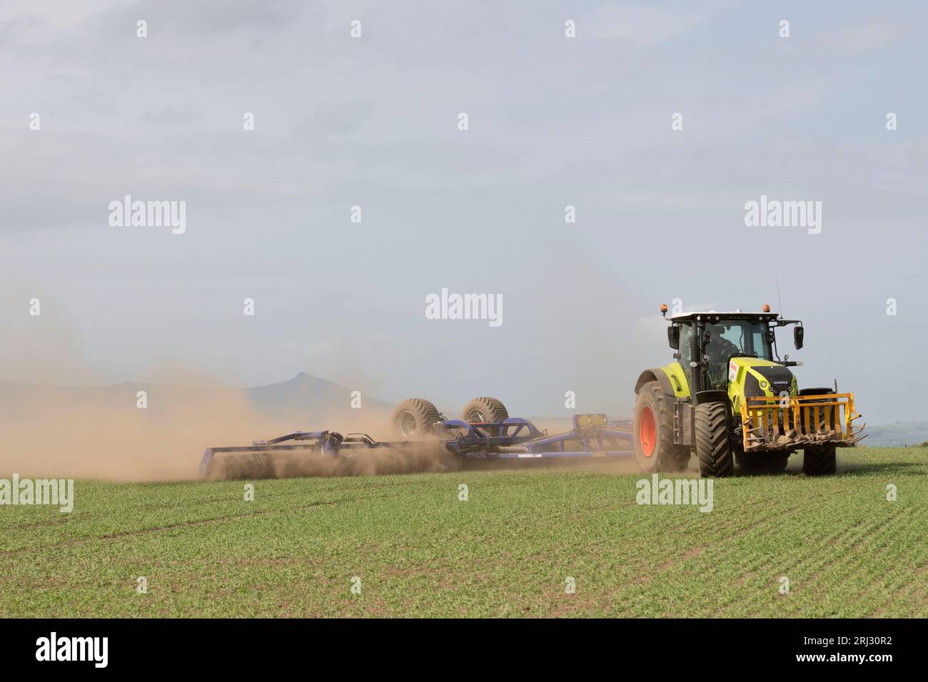 Rolling a Crop of Spring Barley with Dalbo Powerroll Rollers in an ...
