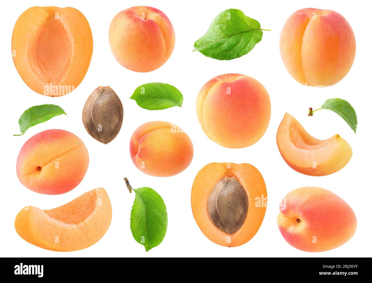 Collection of raw apricot fruits, with pieces, leaves and kernel ...