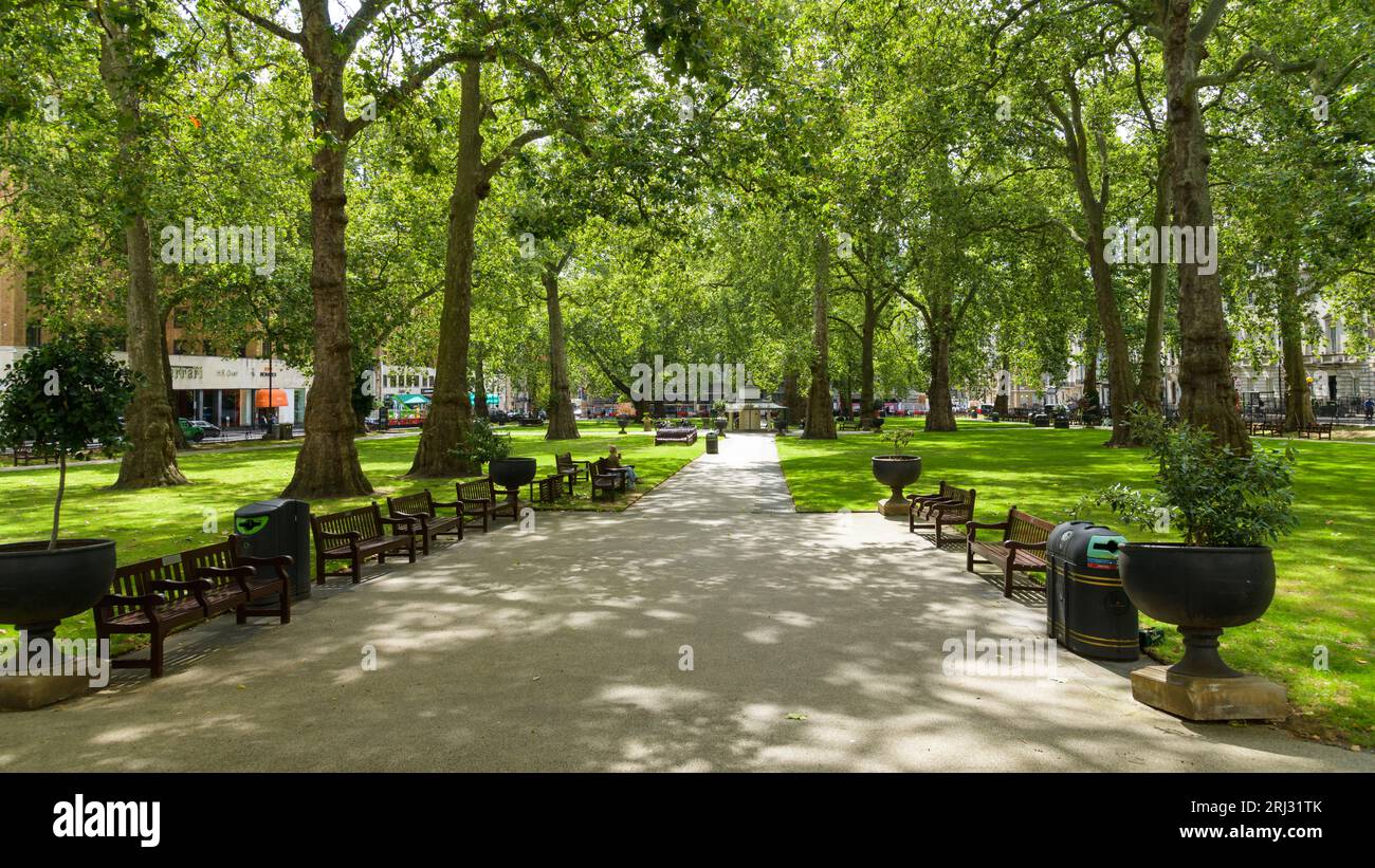 London, UK - July 30, 2023; Berkeley Square green space in London with ...