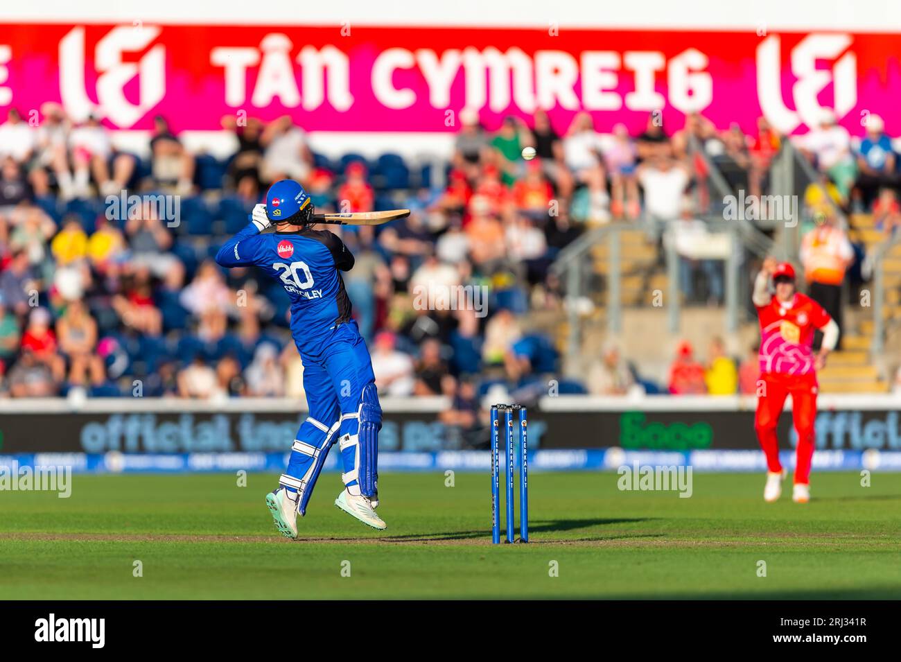 Cricket ramps hi-res stock photography and images - Alamy