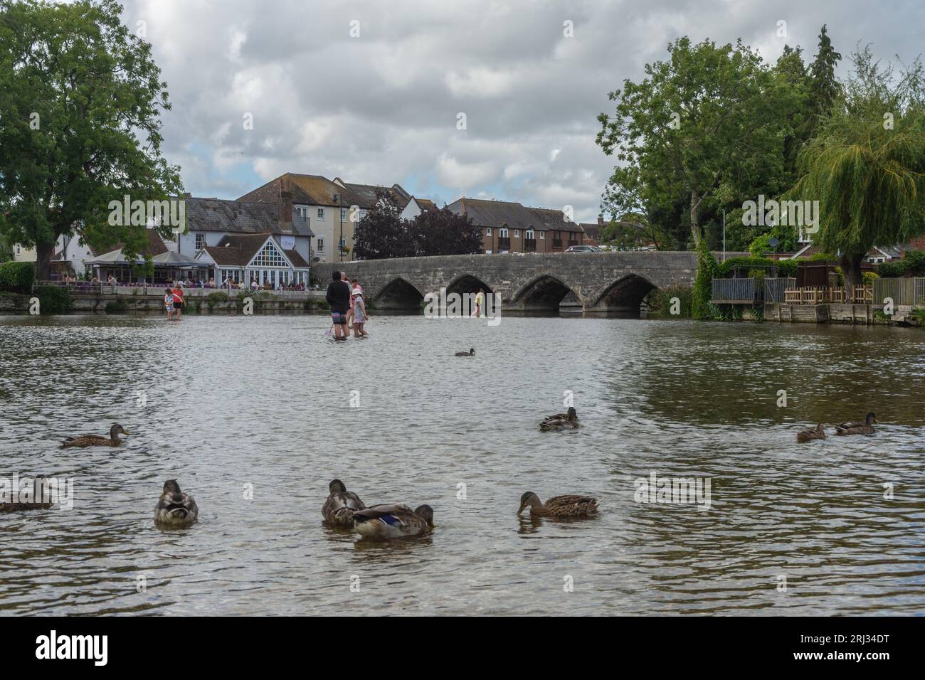 Fordingbridge, UK - August 19th 2023: Ducks and people wading in the ...