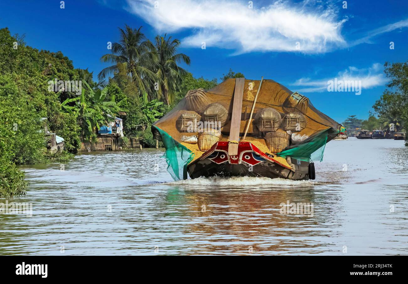 Beautiful Mekong Delta landscape, one traditional typical vietnamese ...