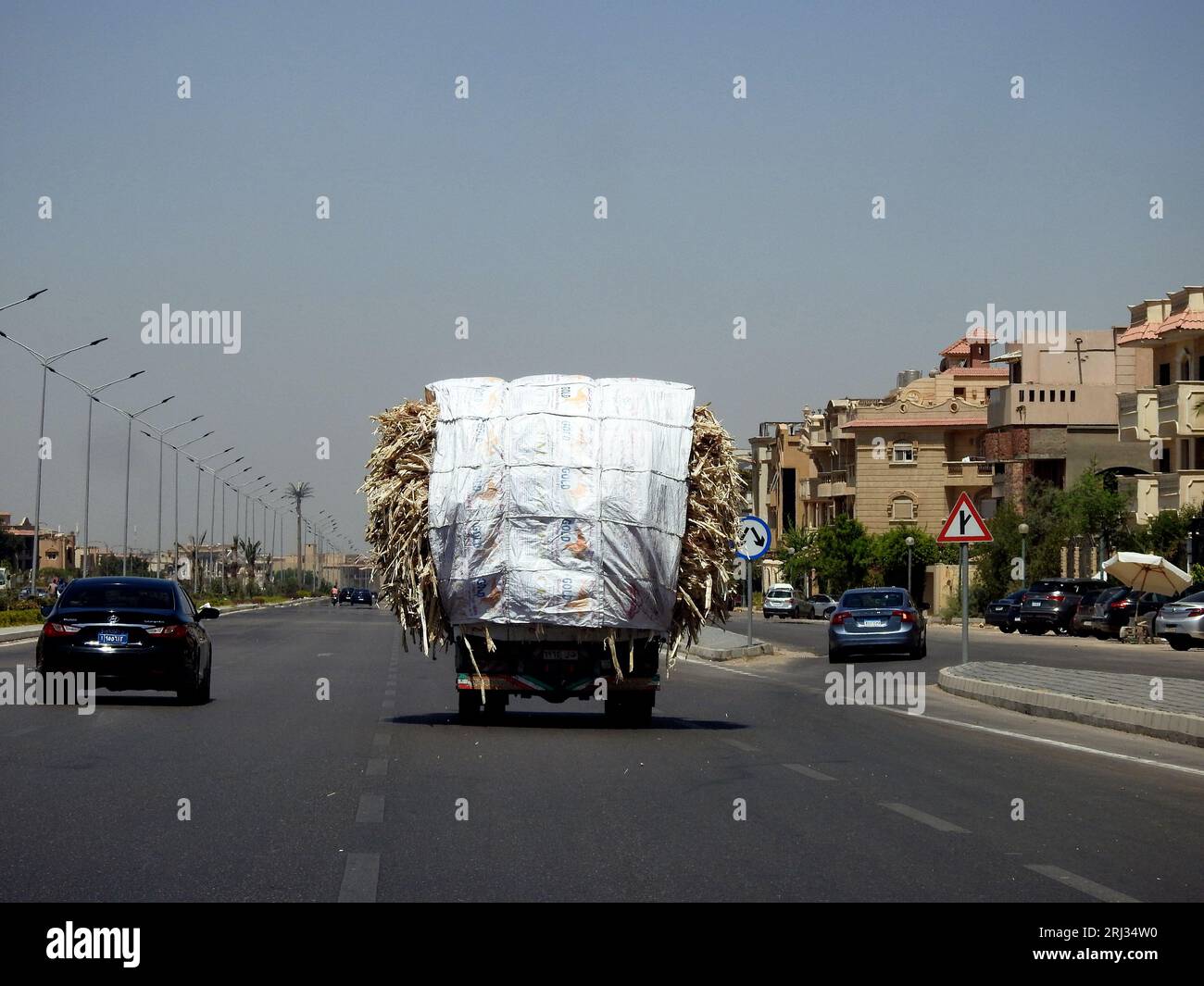 Cairo, Egypt, July 29 2023: Transporting sugarcane wastes such as ...