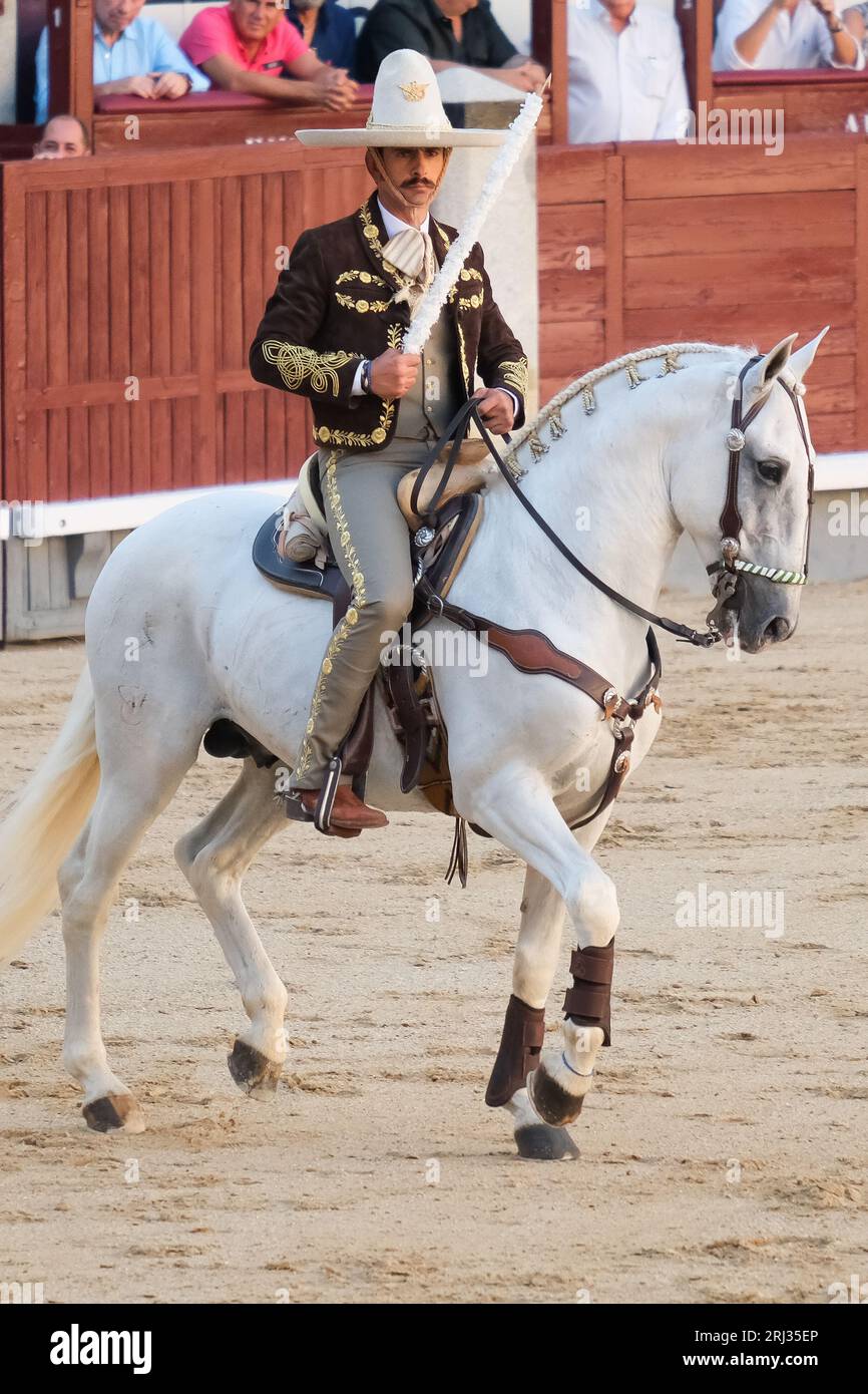 The rejoneador Emiliano Gamero fights the bull during a corrida de ...