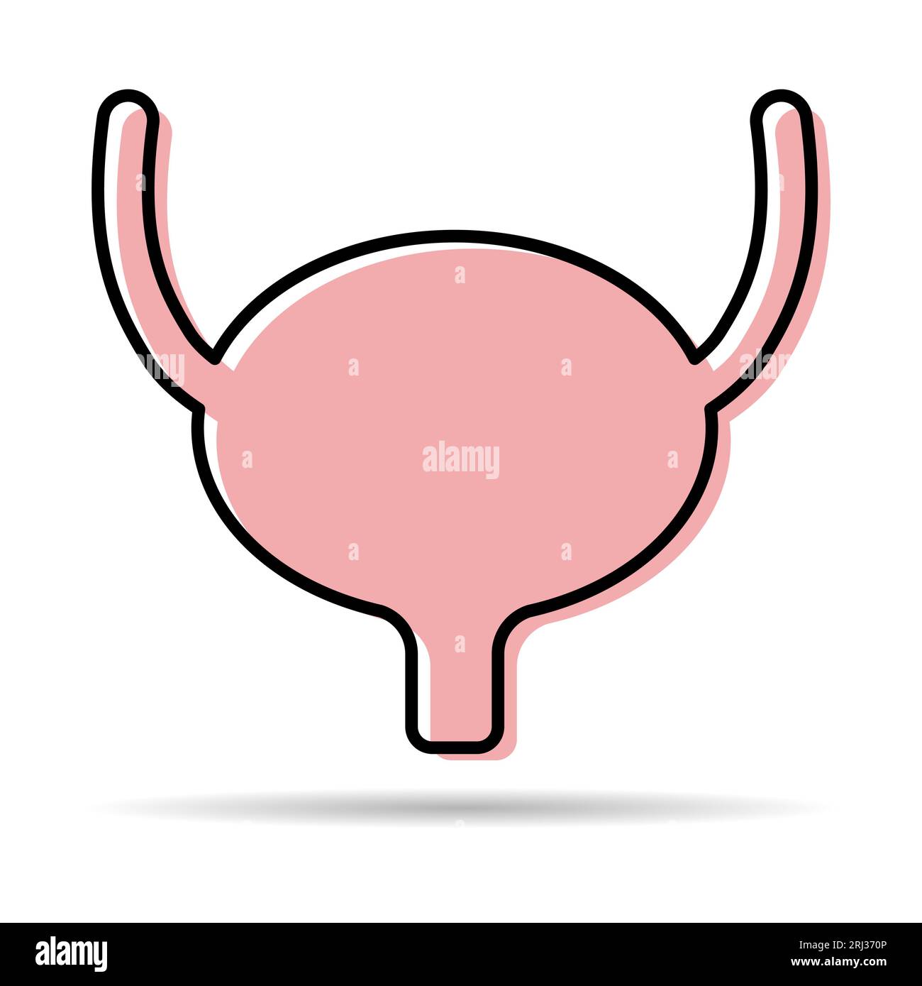Urology health human icon shadow, anatomy medical body bladder sign ...
