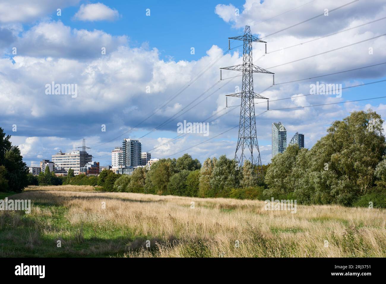 Meadow in Little Ilford Park, East London UK, looking towards central ...