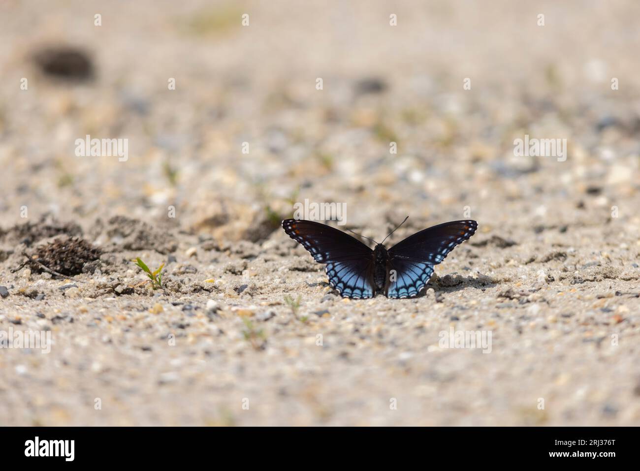 Tar kiln pond hi-res stock photography and images - Alamy