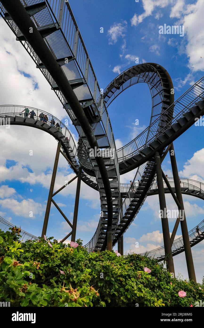 Tiger turtle stairs hi-res stock photography and images - Alamy