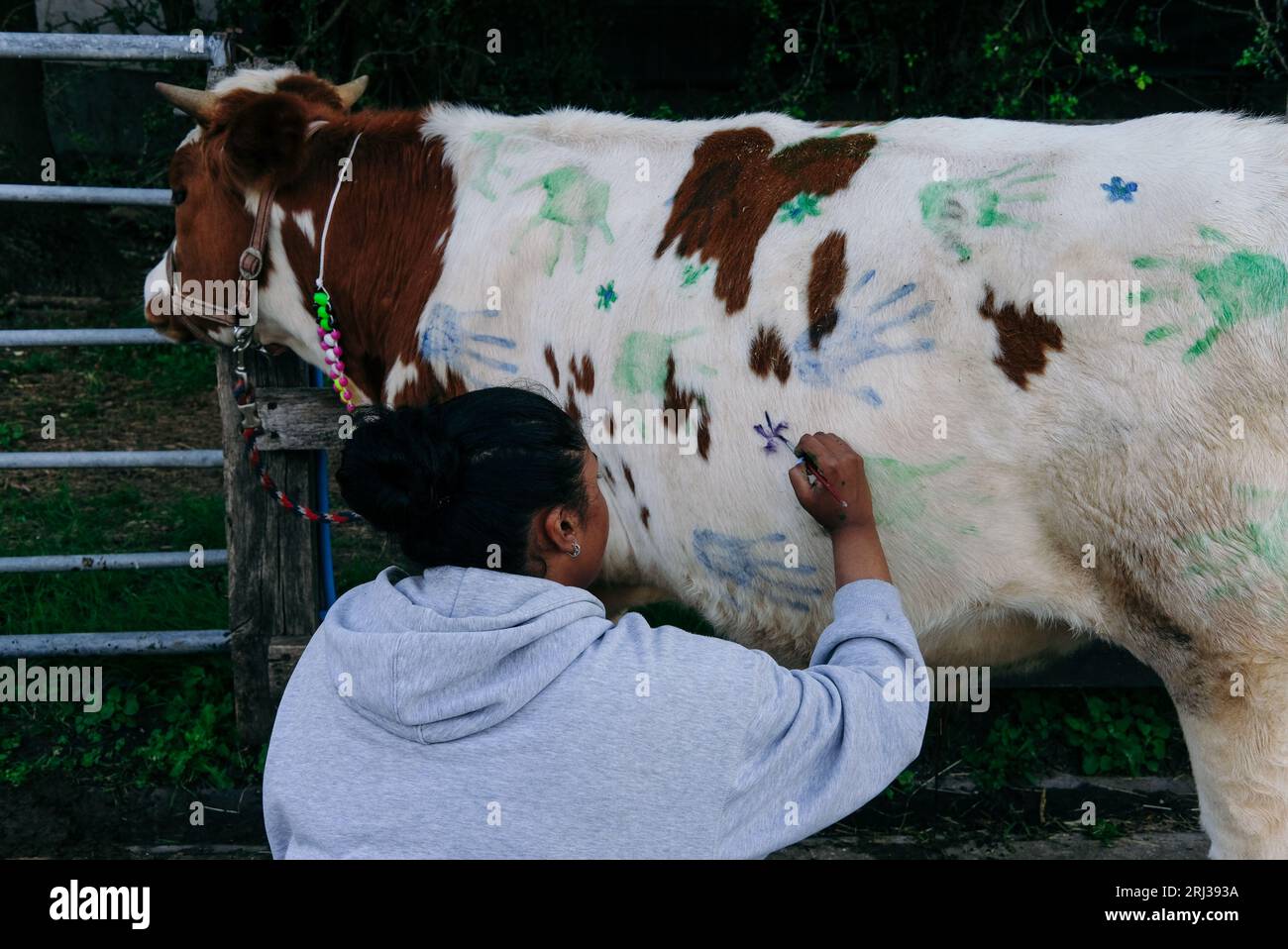 20th August, 2023. Bhaktivedanta Manor celebrates 50 years with a ...