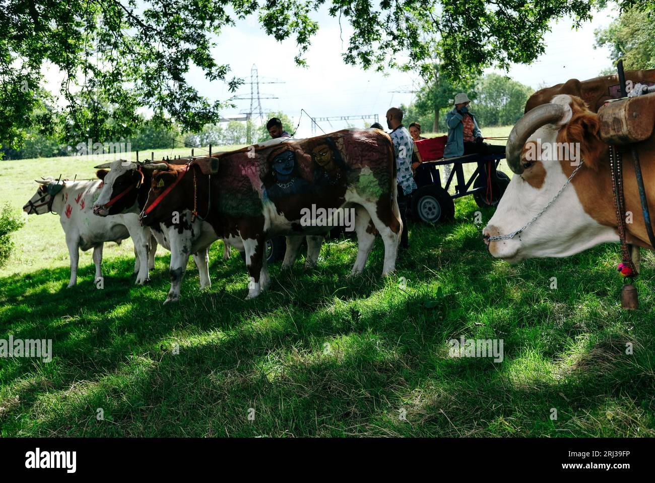20th August, 2023. Bhaktivedanta Manor celebrates 50 years with a ...