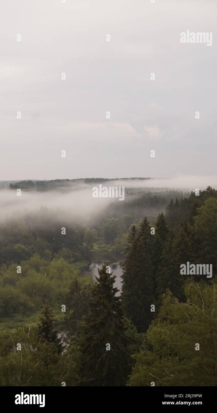 Mist over the river in the forest Stock Photo - Alamy