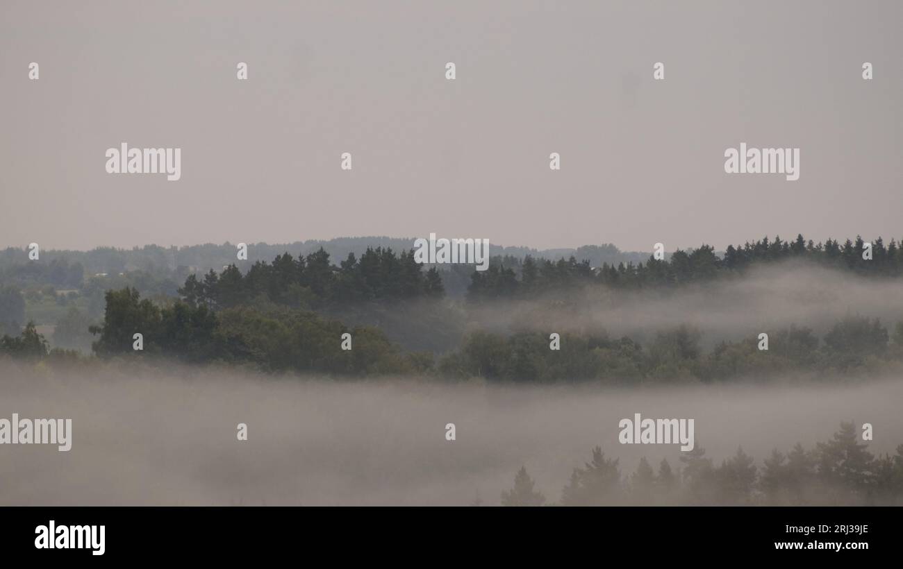 Landscape, horizon, mist, forest hi-res stock photography and images ...