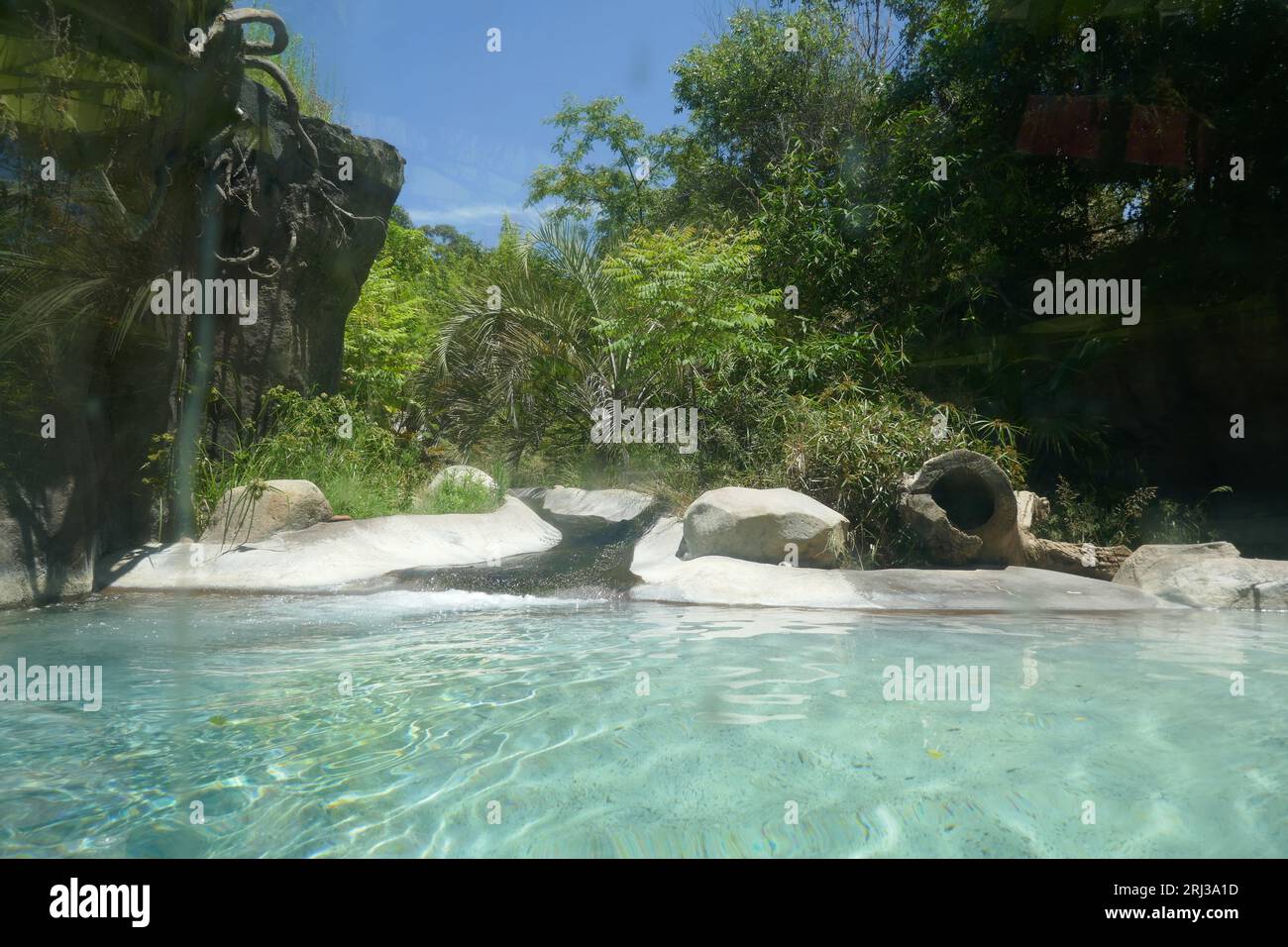 Los Angeles, California, USA 20th July 2023 Giant River Otter Habitat ...