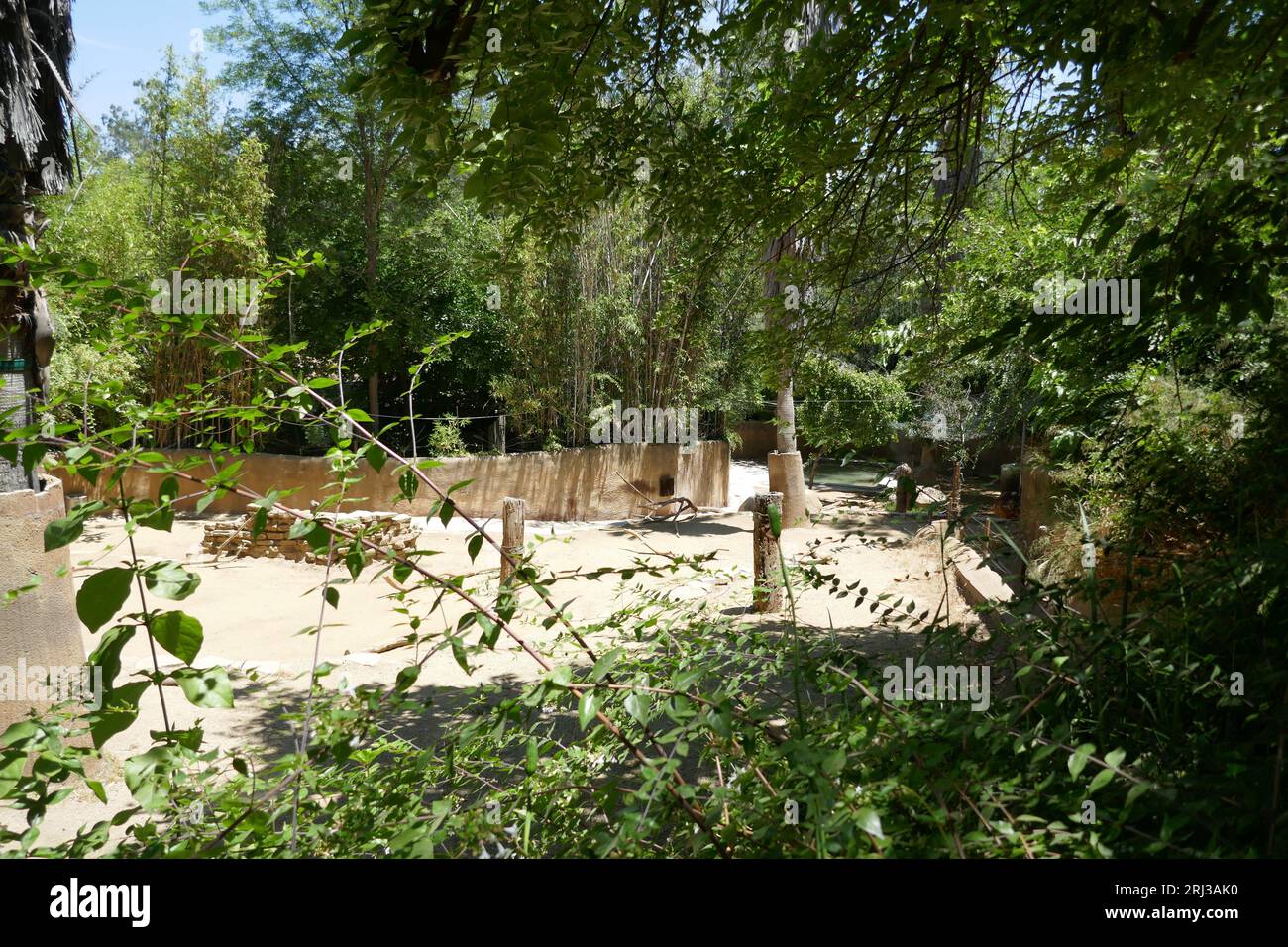 Los Angeles, California, USA 20th July 2023 Takin Habitat at LA Zoo on ...