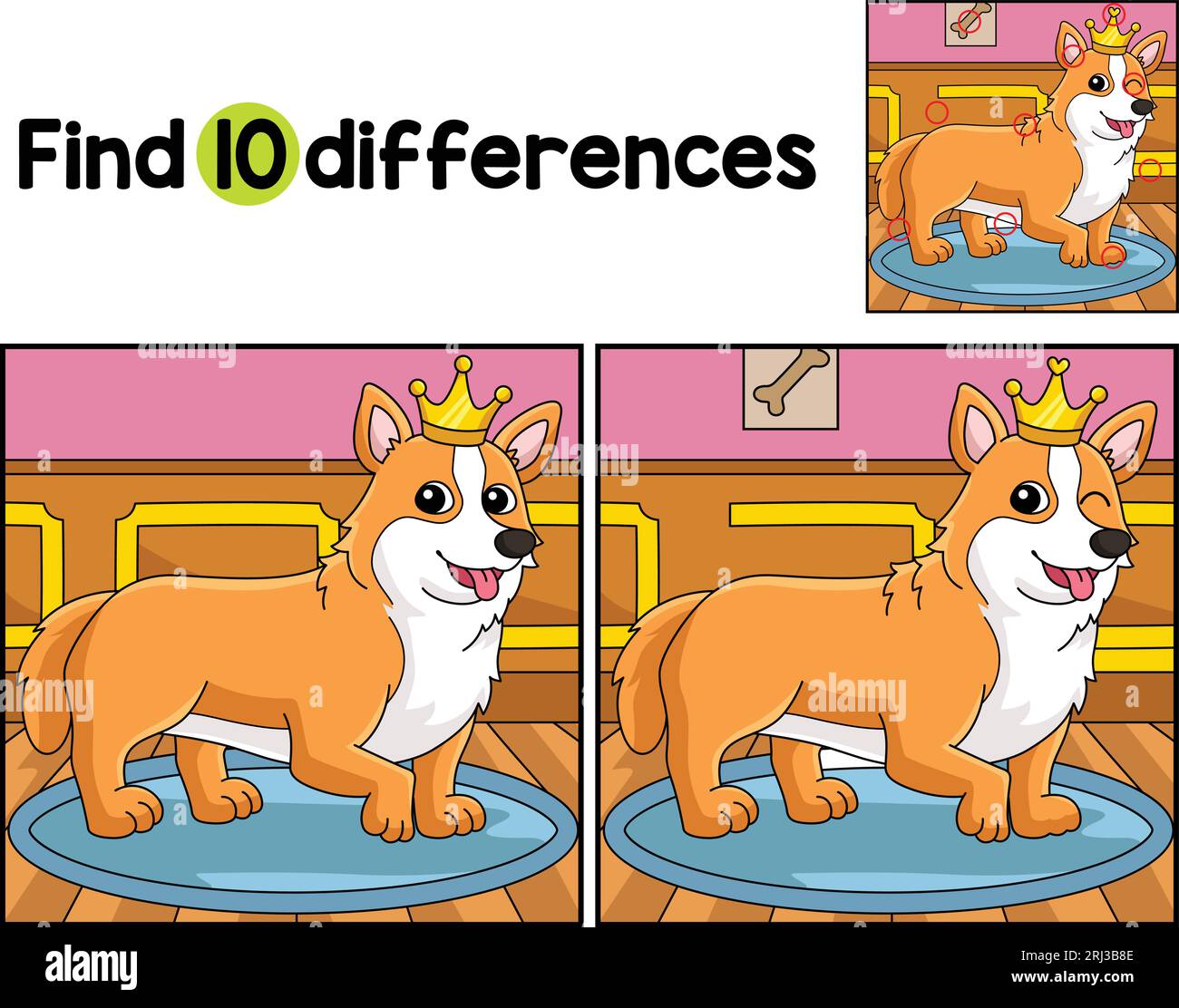 Corgi Dog Find The Differences Stock Vector Image & Art - Alamy