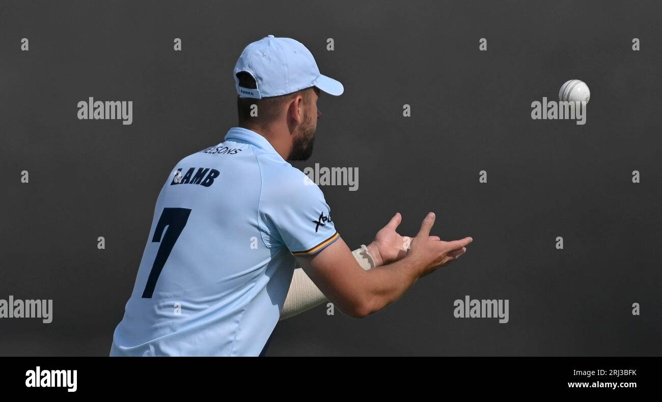 Cricket lamb hi-res stock photography and images - Alamy