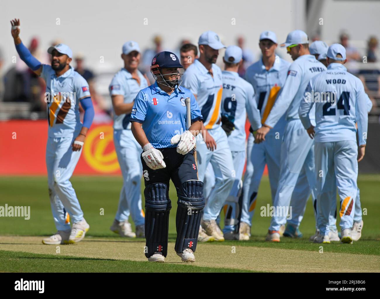 Ricardo vasconcelos cricket hi-res stock photography and images - Alamy