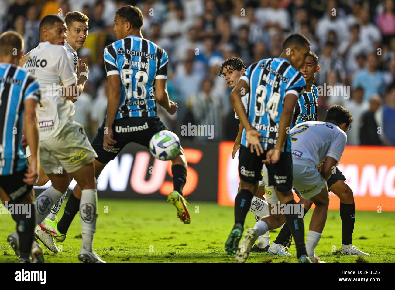 Santos, Brazil. 20th Aug, 2023. SP - SANTOS - 20/08/2023 - BRAZILEIRO A ...
