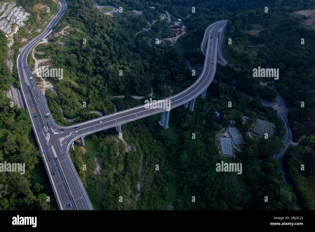 Lush green foliage weaving hi-res stock photography and images - Alamy