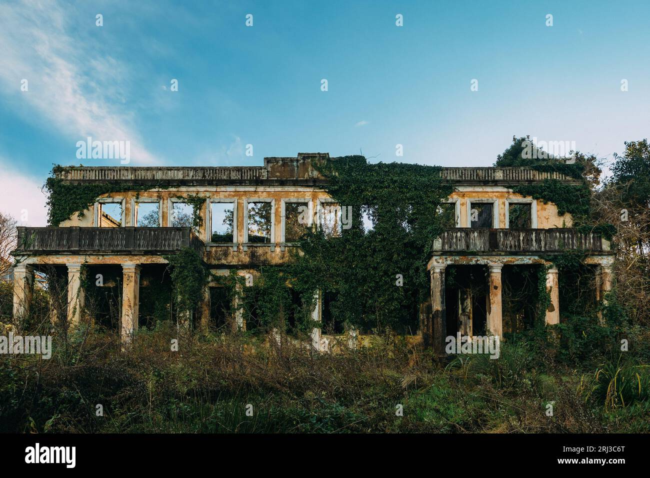 Old disused overgrown moss hi-res stock photography and images - Alamy