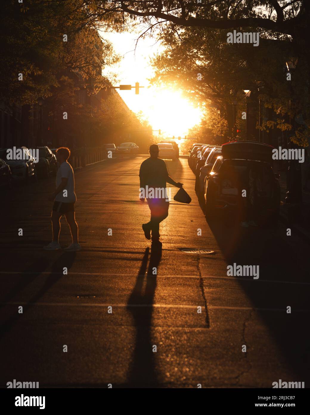 Aerial view of a bustling metropolitan cityscape featuring a main ...