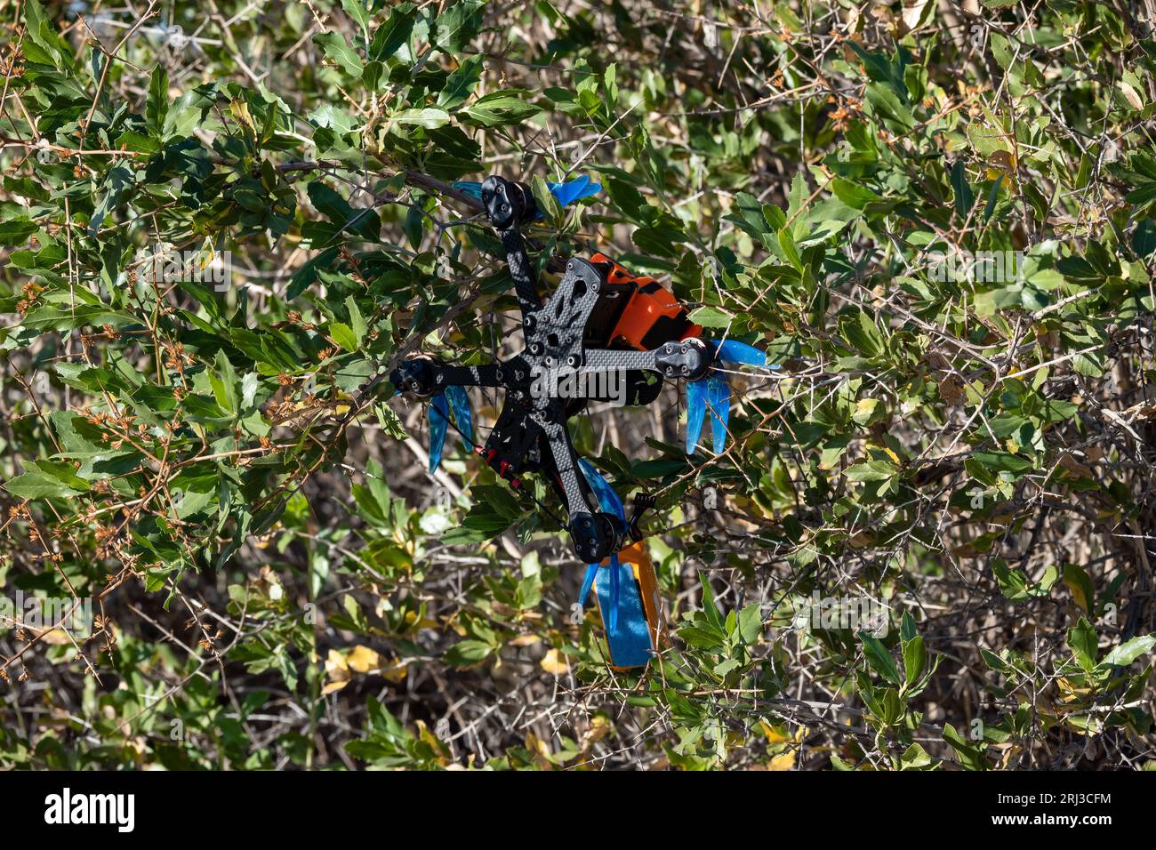Drone stuck in tree hi-res stock photography and images - Alamy