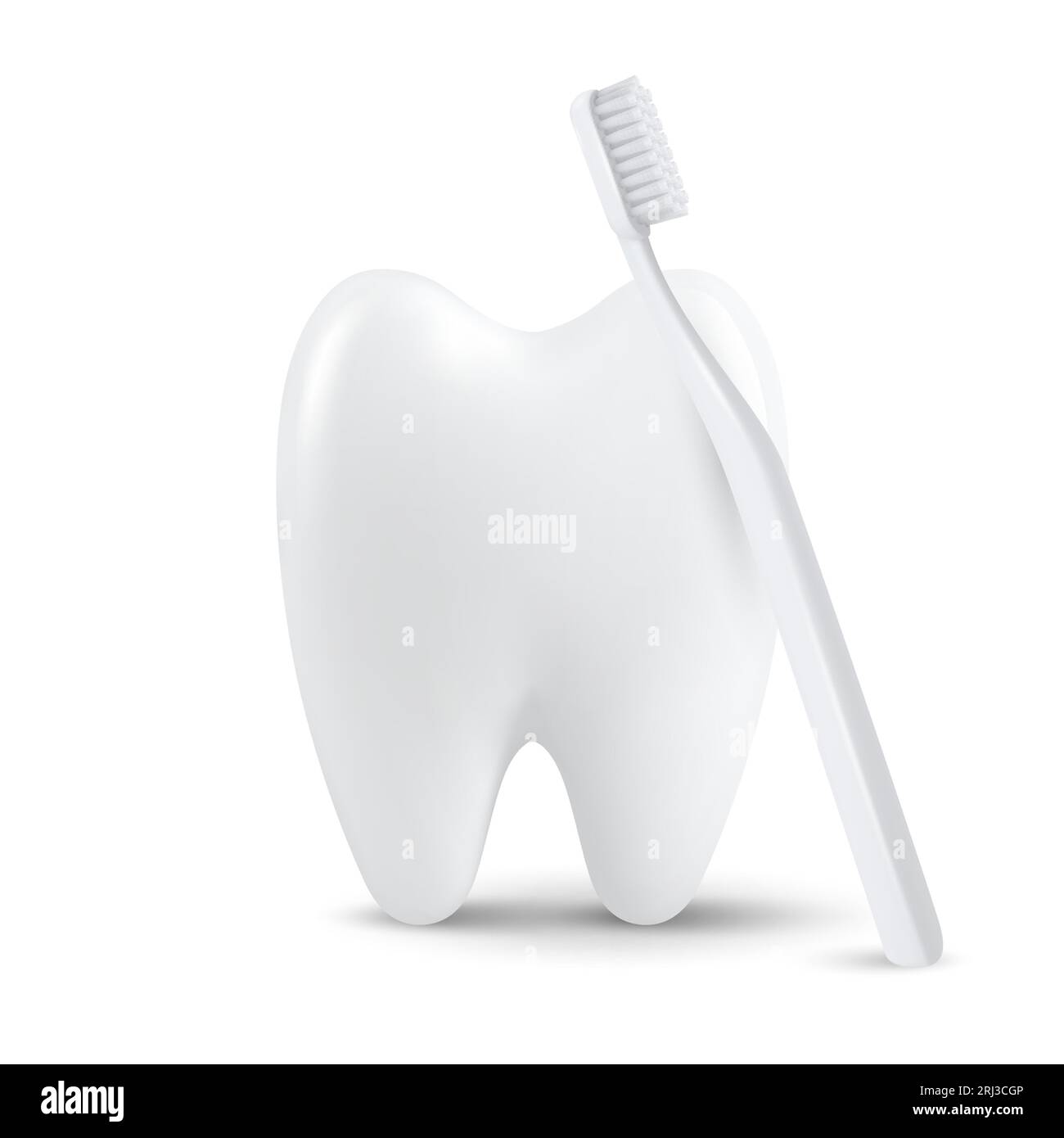 Vector 3d Realistic Tooth with Toothbrush Isolated on White Background ...
