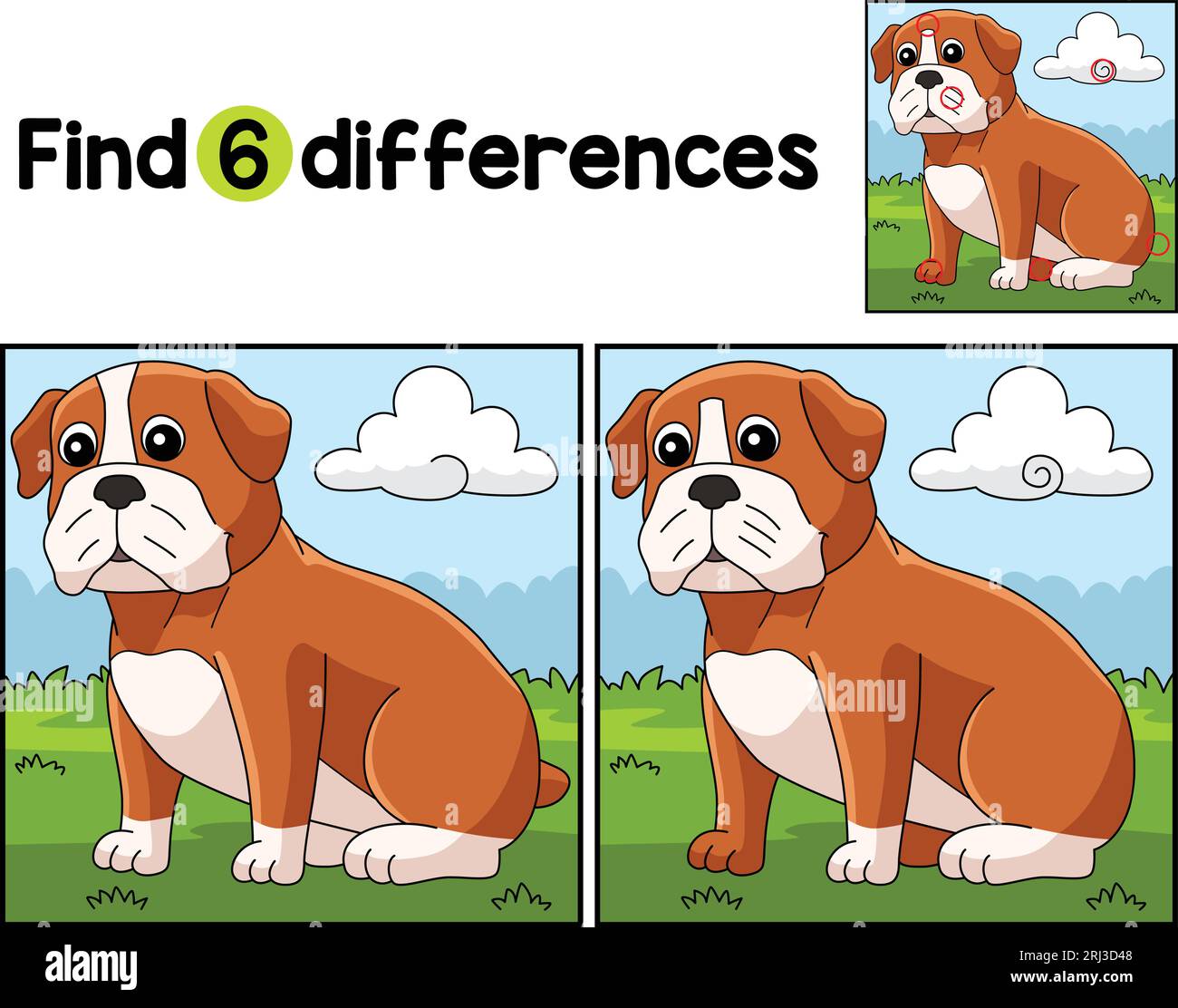 Bulldog Dog Find The Differences Stock Vector Image & Art - Alamy